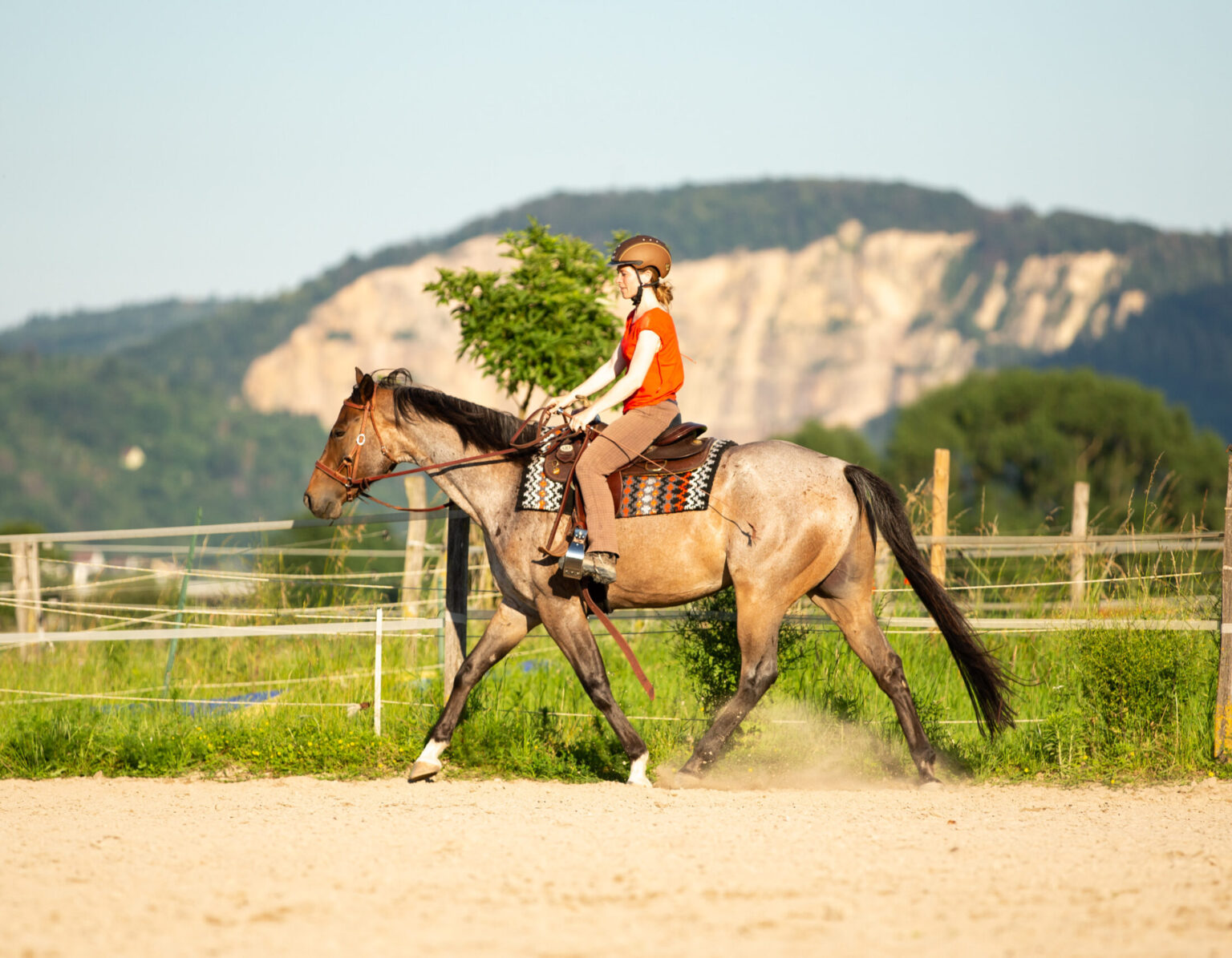 Gebisslos reiten mit Bosal - die Gründe - Pferde verstehen