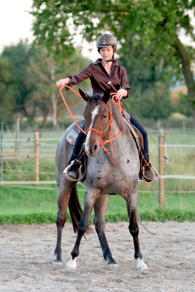 Gebisslos reiten mit Bosal - die Gründe - Pferde verstehen