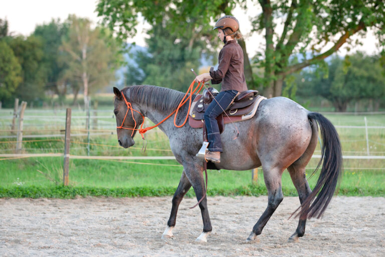 Gebisslos reiten mit Bosal - die Gründe - Pferde verstehen