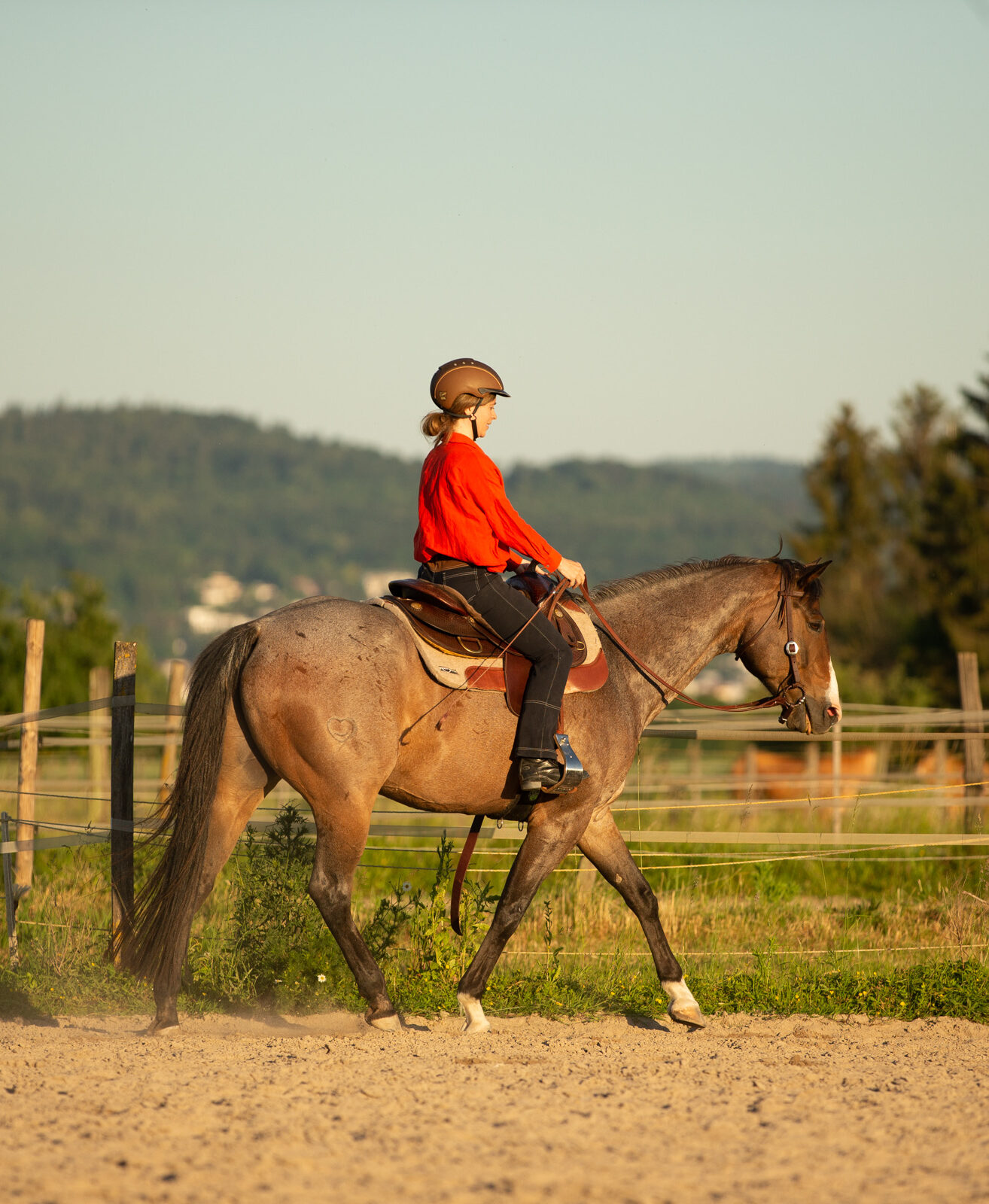 Gebisslos reiten mit Bosal - die Gründe - Pferde verstehen