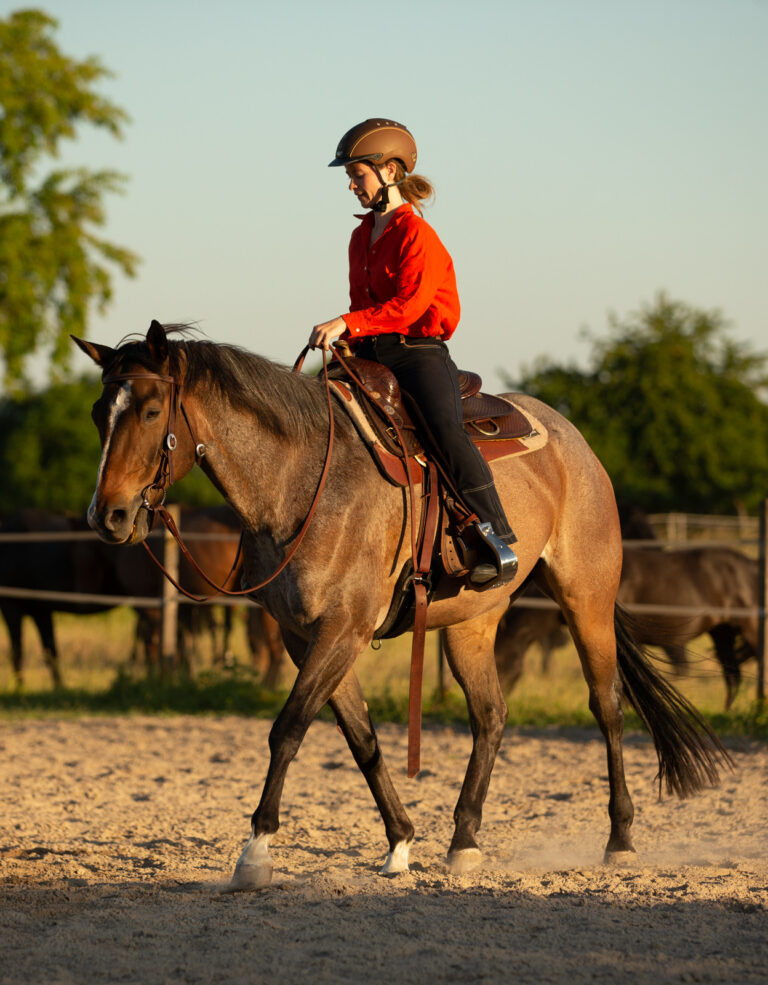 Gebisslos reiten mit Bosal - die Gründe - Pferde verstehen
