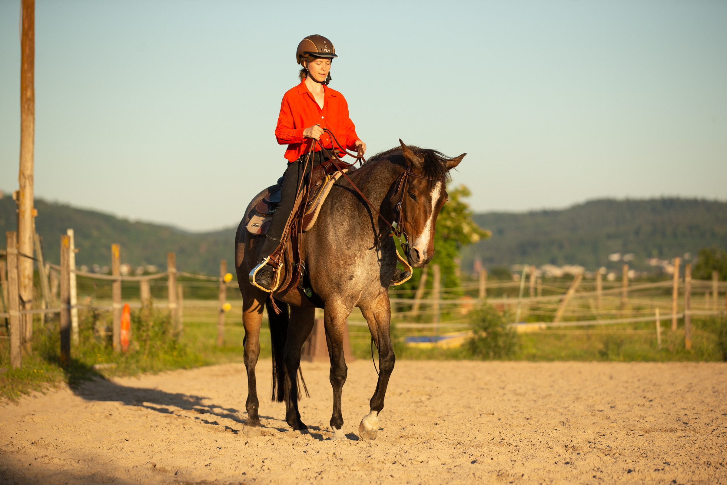 Gebisslos reiten mit Bosal - die Gründe - Pferde verstehen