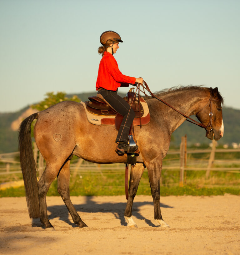 Gebisslos reiten mit Bosal - die Gründe - Pferde verstehen
