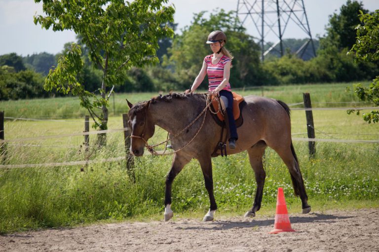 Gebisslos reiten mit Bosal - die Gründe - Pferde verstehen