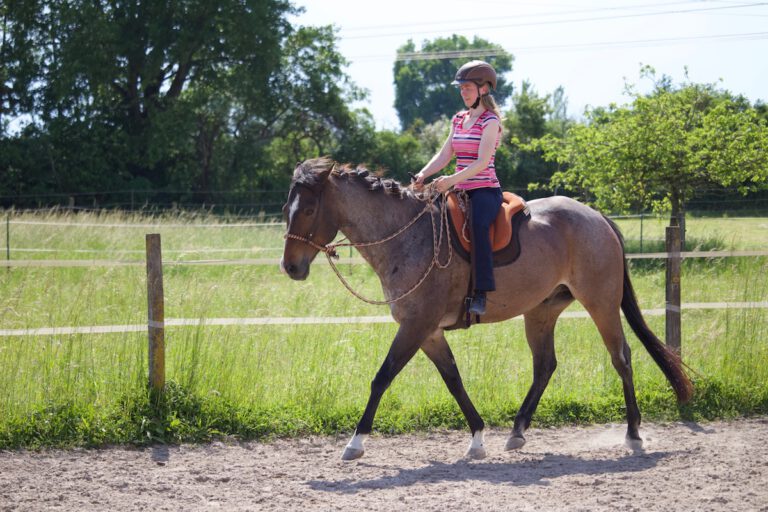 Gebisslos reiten mit Bosal - die Gründe - Pferde verstehen